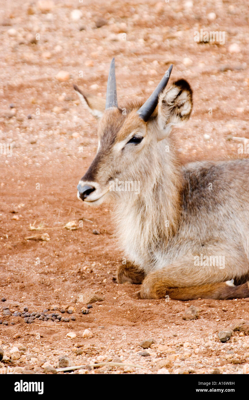 National park outdoors travel holiday outdoor tour meru national park ...