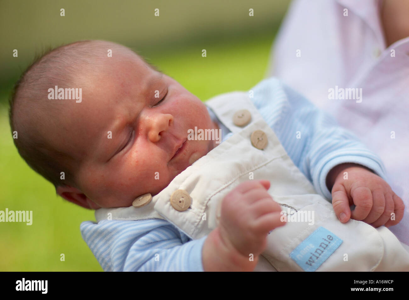baby in arm of mother Stock Photo - Alamy