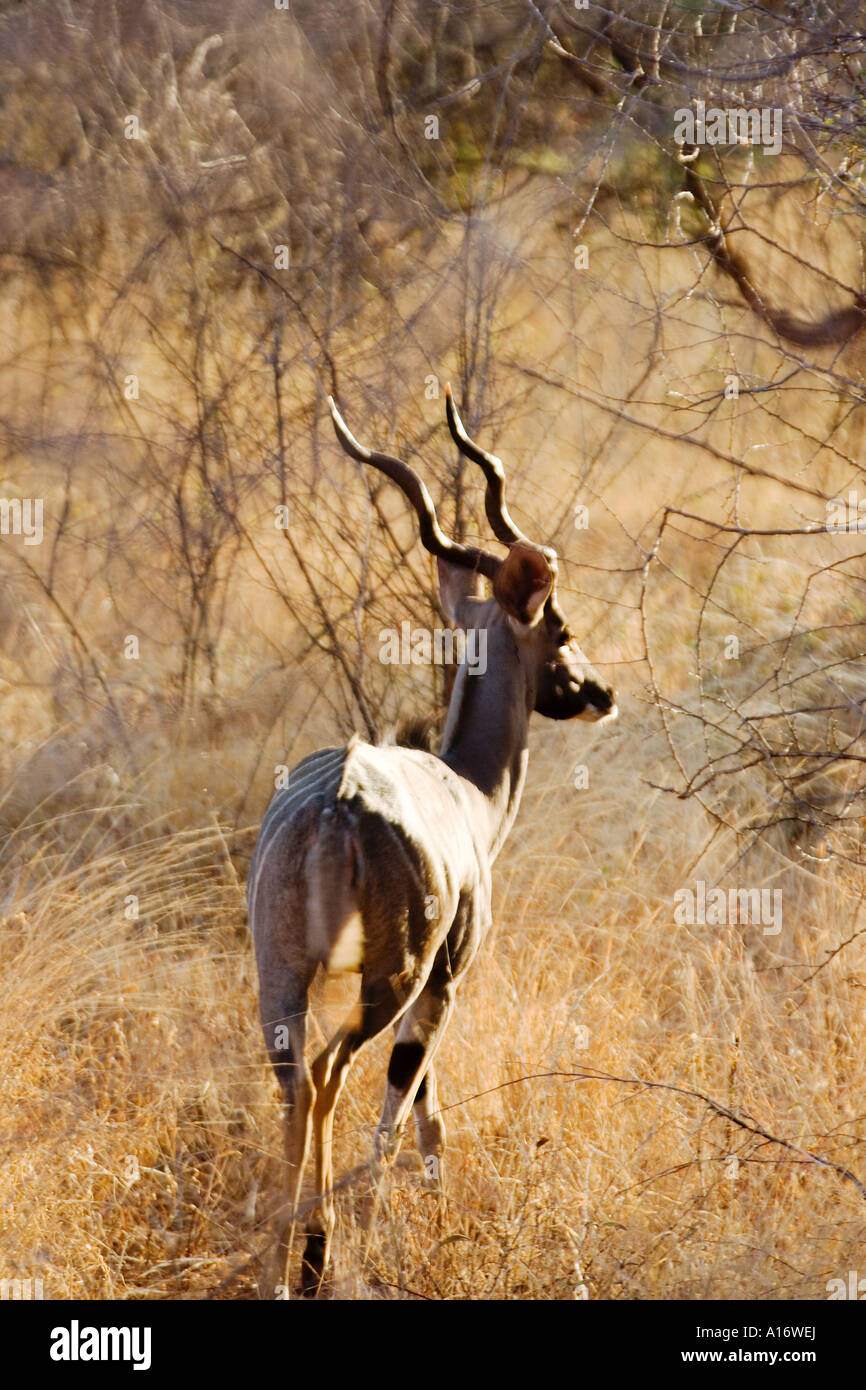 National park outdoors travel holiday outdoor tour meru national park ...