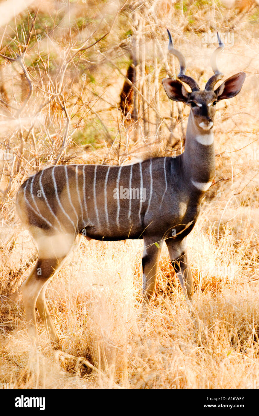 National park outdoors travel holiday outdoor tour meru national park ...