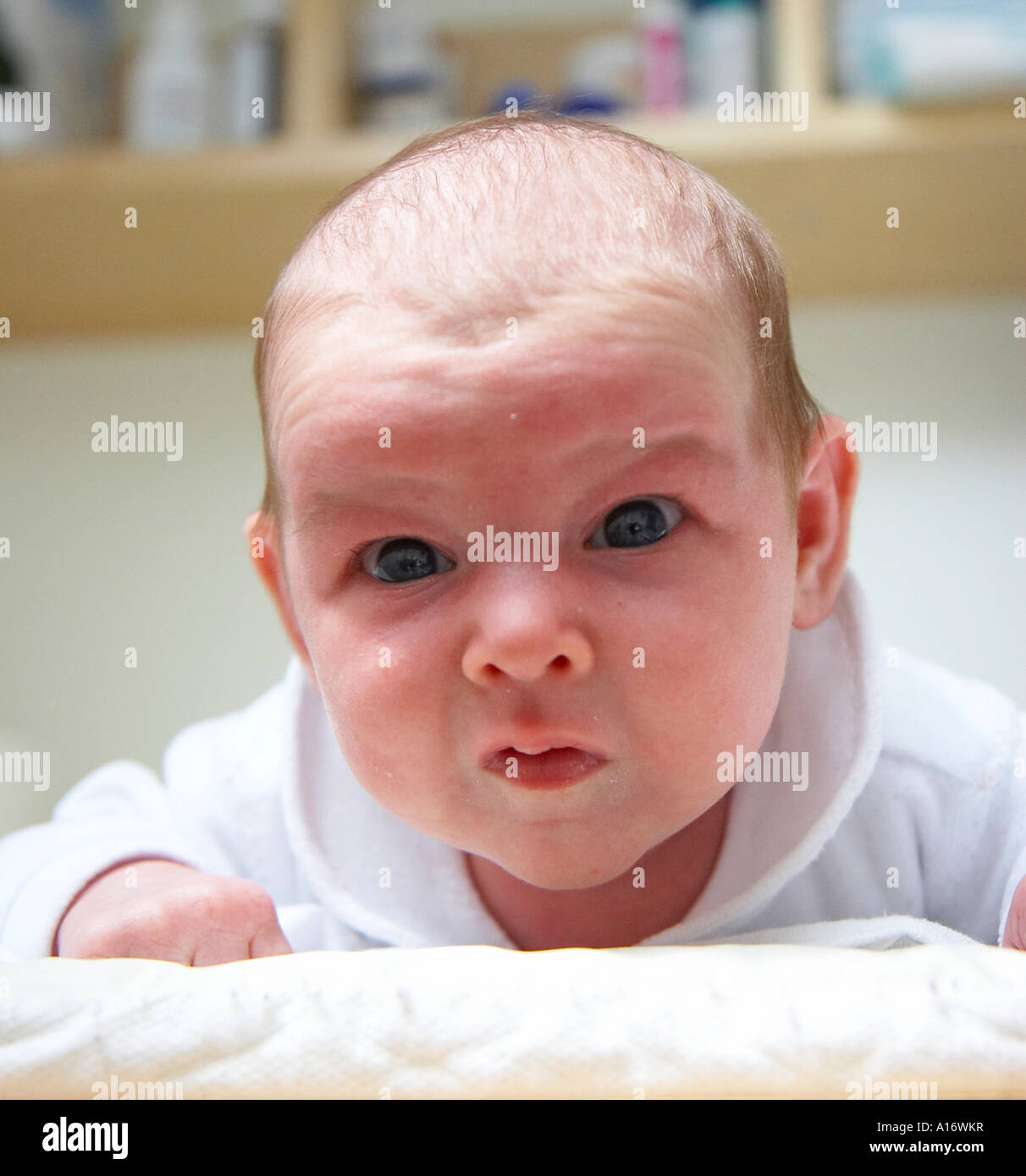 portrait of baby Stock Photo - Alamy