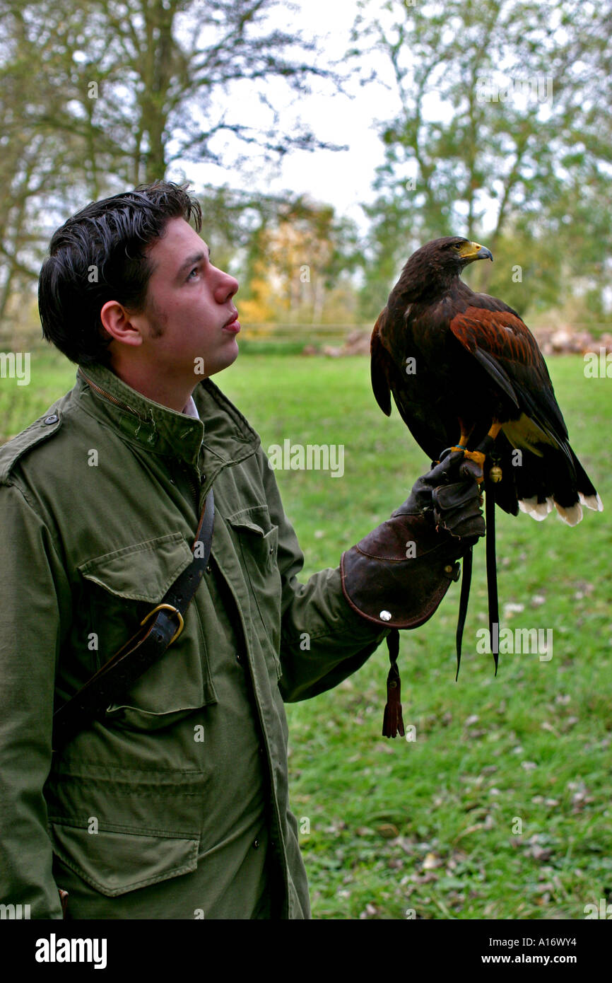 Falconer with Harris Hawk Stock Photo - Alamy