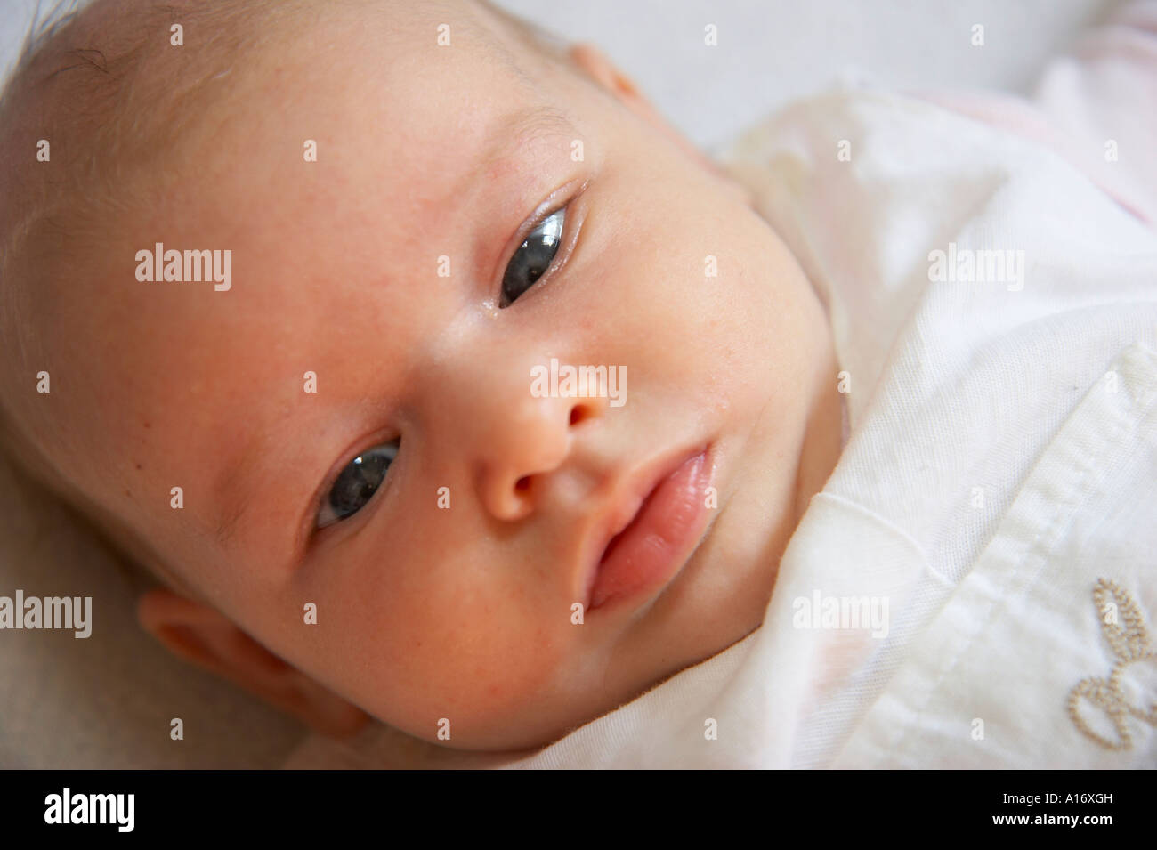 portrait of baby Stock Photo - Alamy