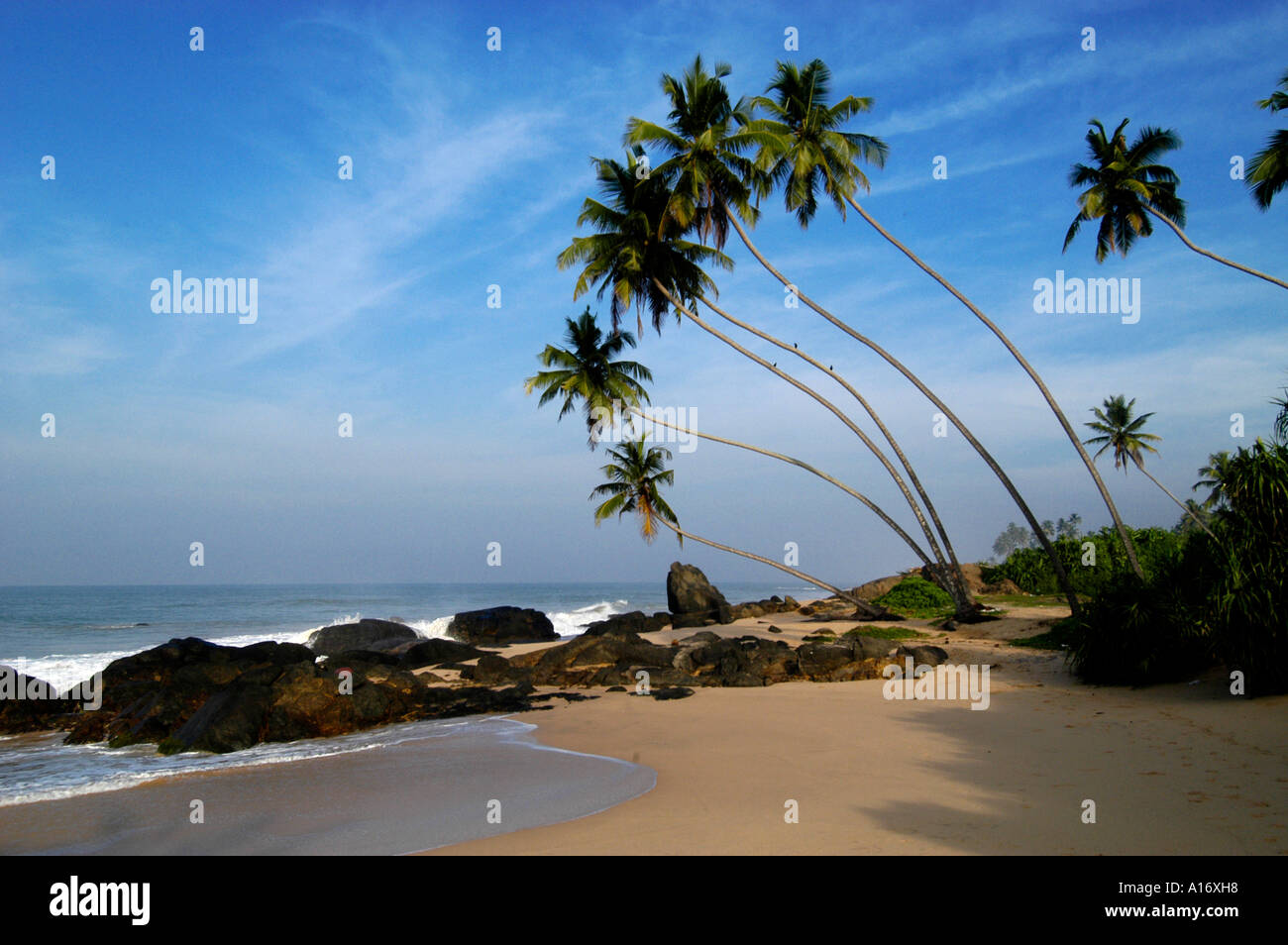 Tangalla bay sri lanka hi-res stock photography and images - Alamy