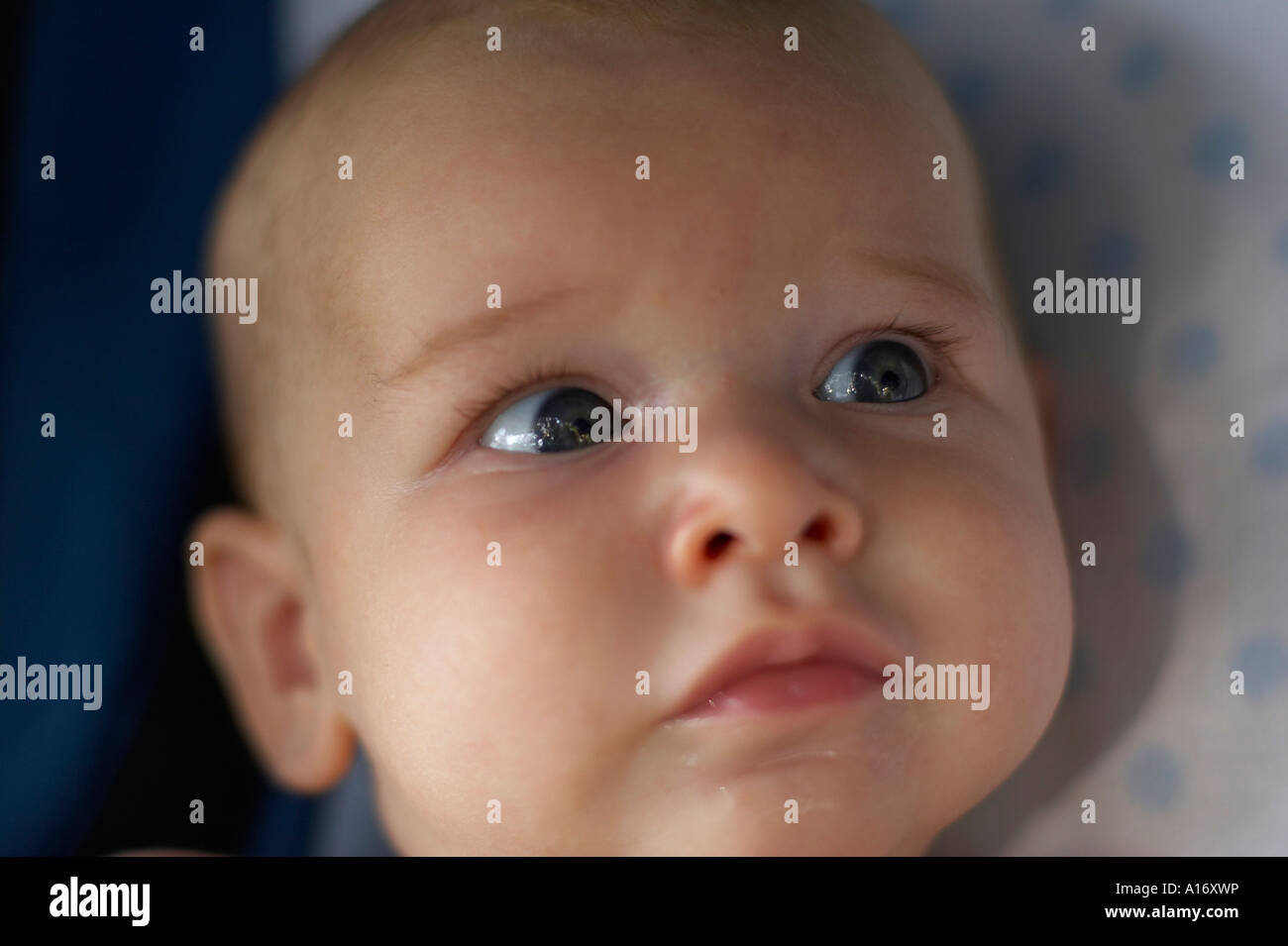portrait of a baby Stock Photo - Alamy