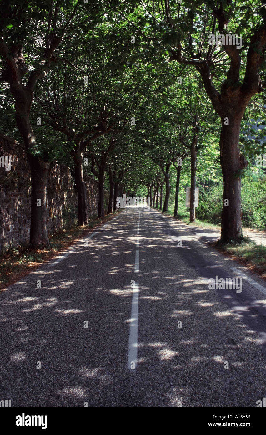 french road roads straight drive driving motoring scenic scenics ...