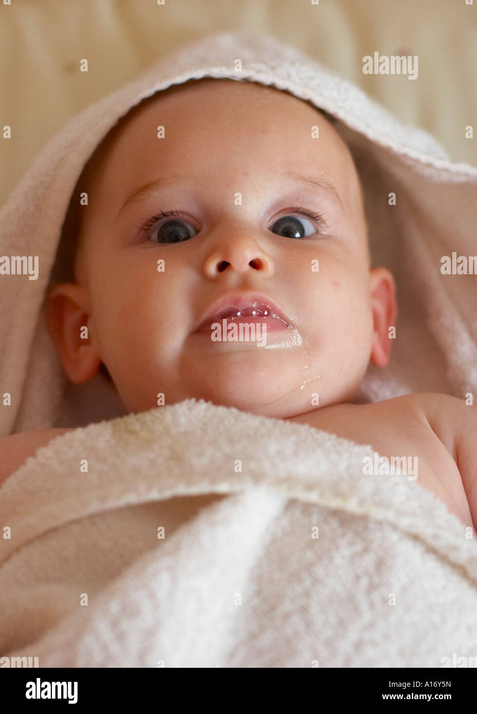 baby wrapped in towel Stock Photo - Alamy