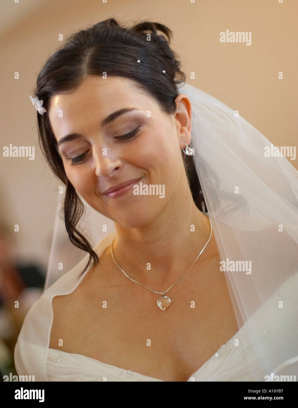 bride with veil Stock Photo - Alamy