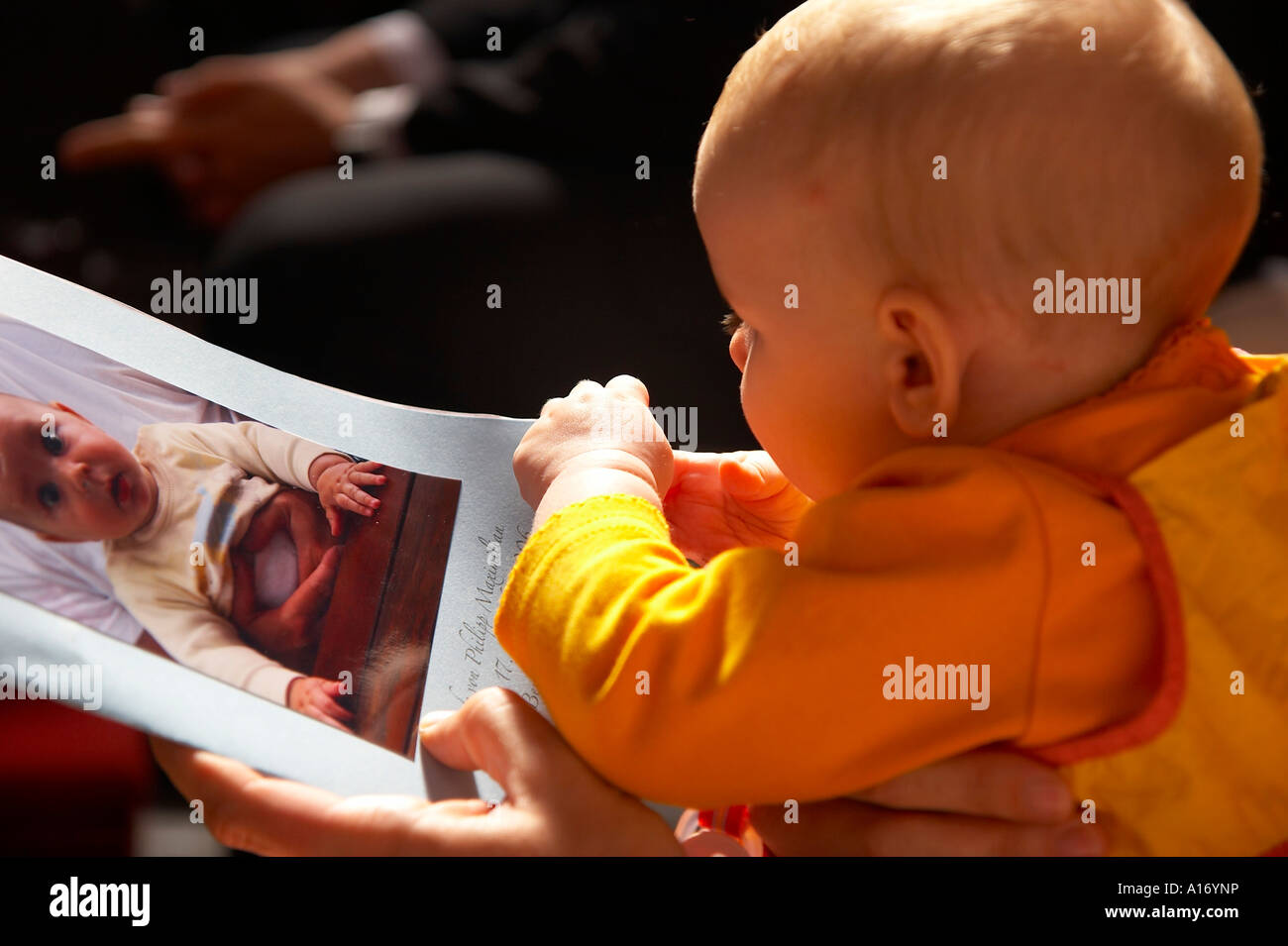 baby watching picture of another baby Stock Photo - Alamy