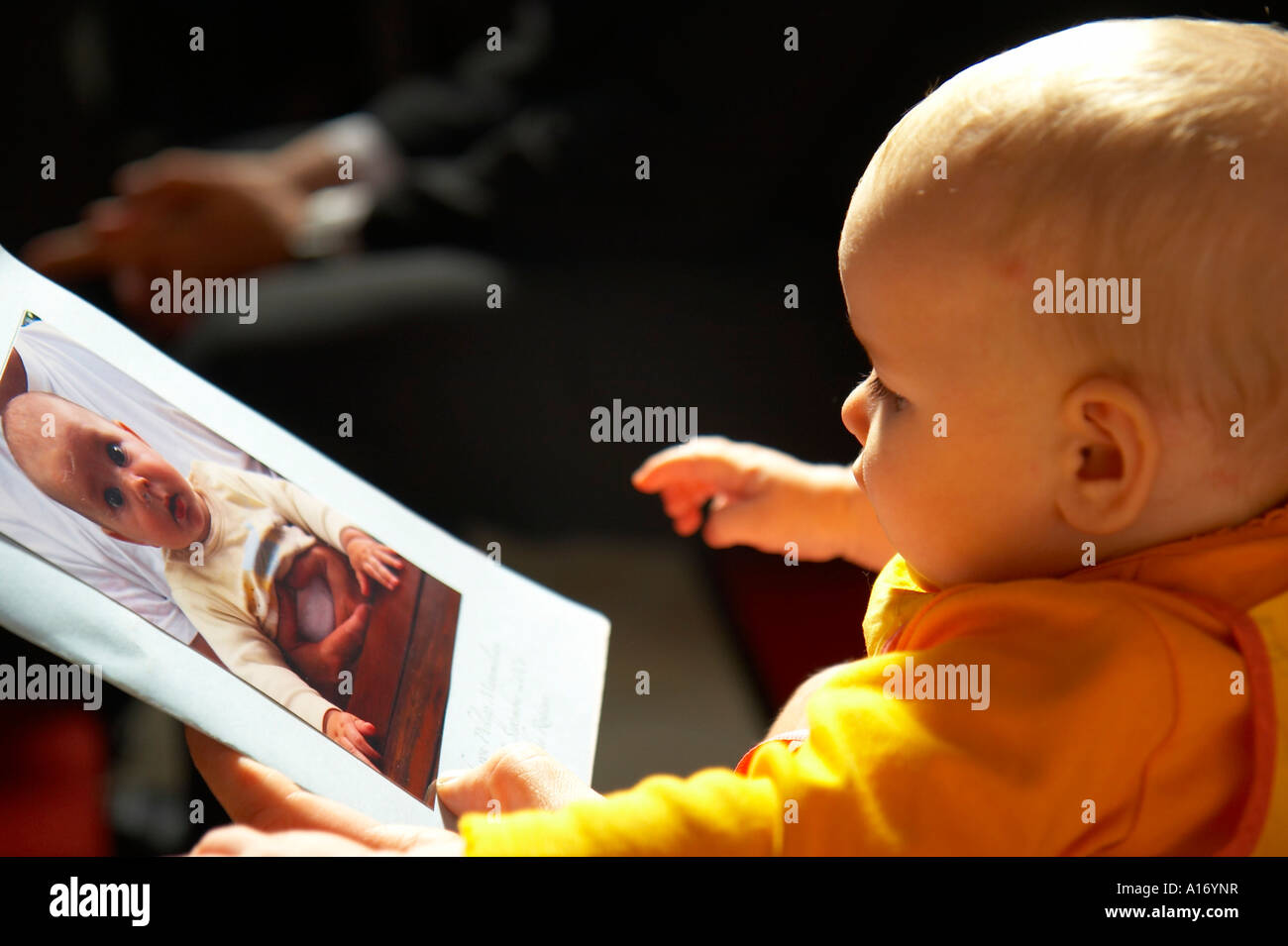 baby watching picture of another baby Stock Photo - Alamy
