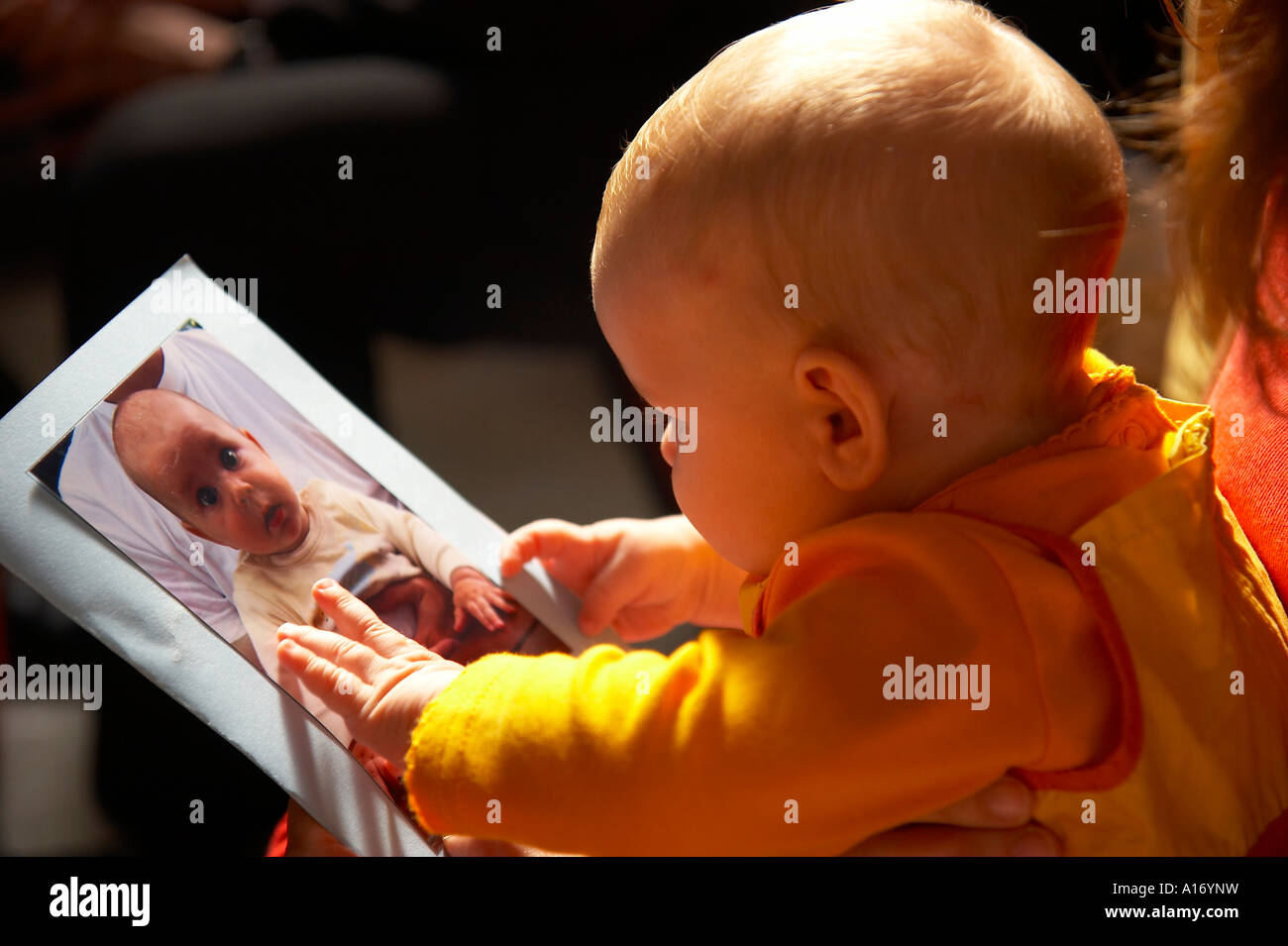 baby watching picture of another baby Stock Photo - Alamy