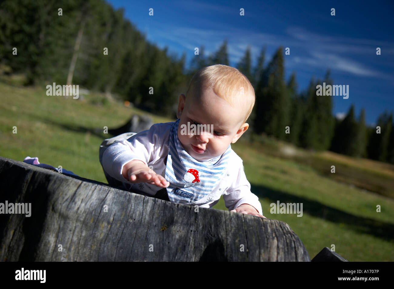 baby sitting on stump Stock Photo - Alamy