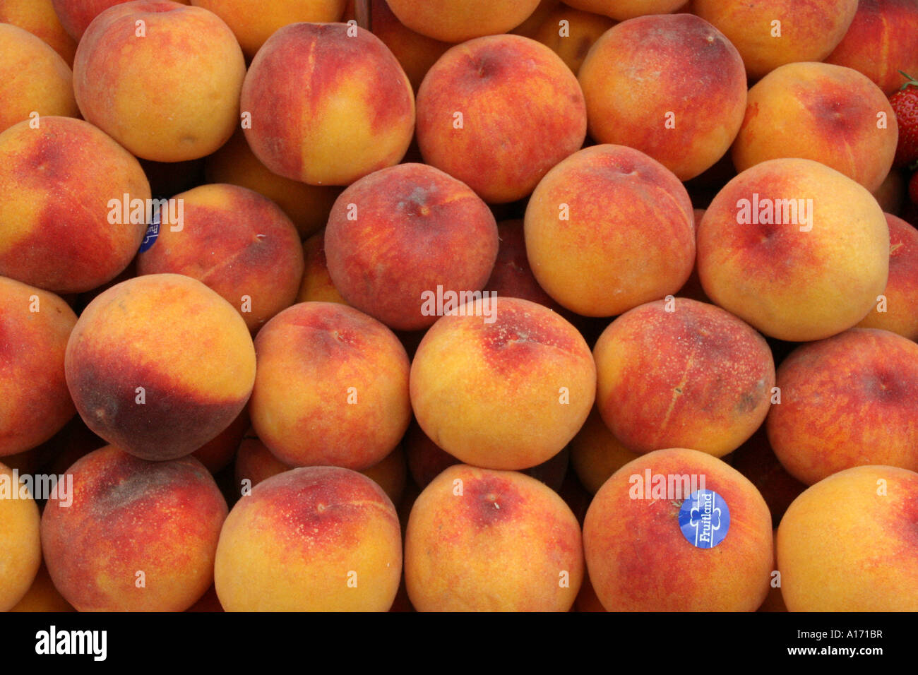 Peach tree rich fruit hi-res stock photography and images - Alamy