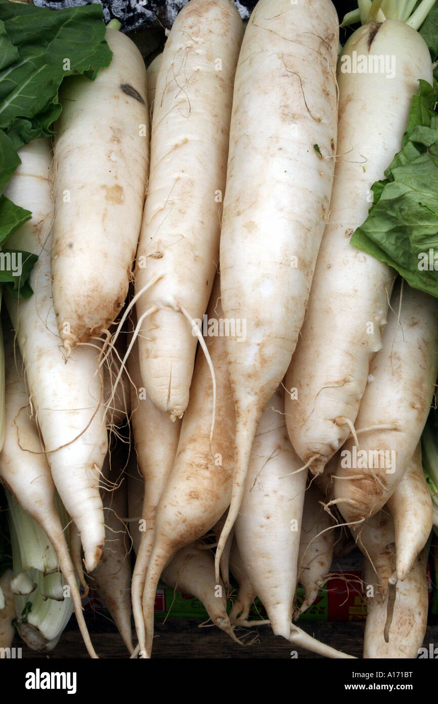 Almost square body hi-res stock photography and images - Alamy