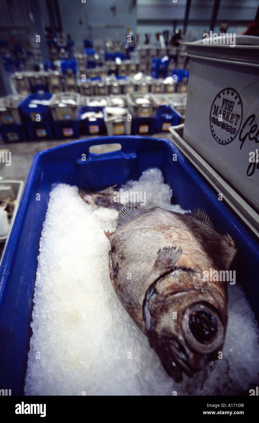 Fish scale fill hi-res stock photography and images - Alamy