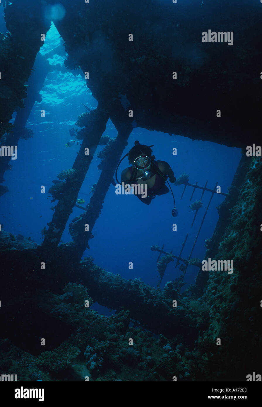 Babs Jackson diving on the Umbria Wreck Port Sudan Sudanese Red Sea ...