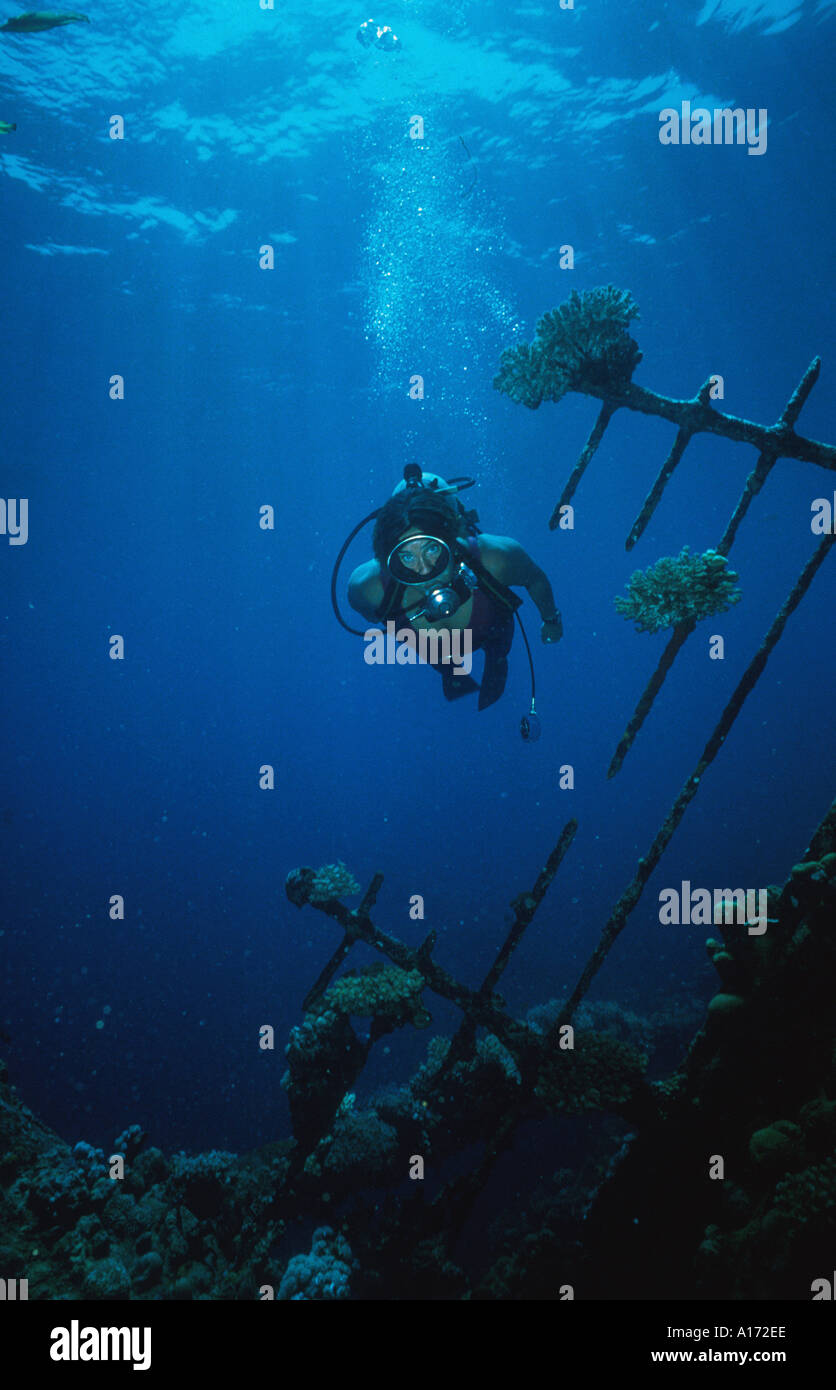 Babs Jackson diving on the Umbria Wreck Port Sudan Sudanese Red Sea ...