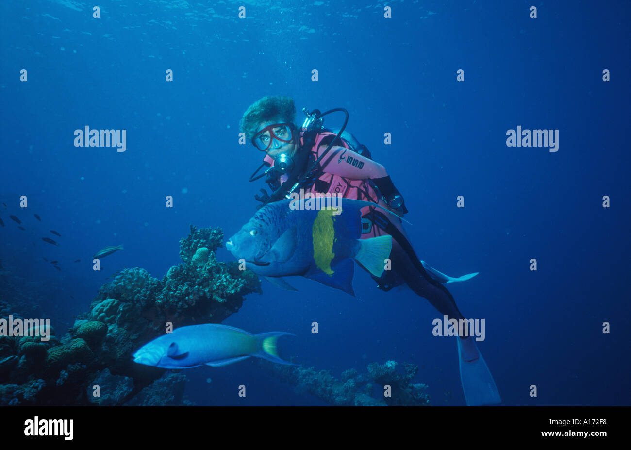 Babs Jackson diving on the Umbria Wreck Port Sudan Sudanese Red Sea ...