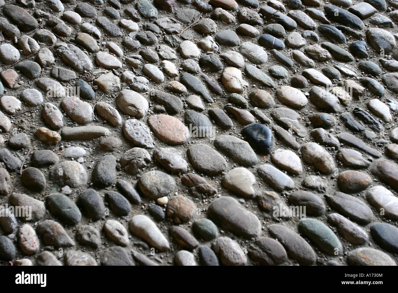 False cycle path hi-res stock photography and images - Alamy