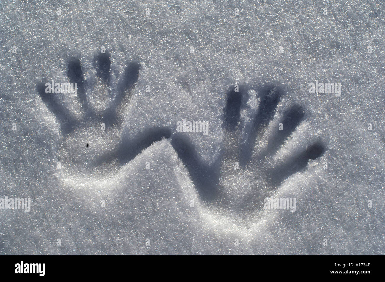 hand mark in the snow Stock Photo - Alamy