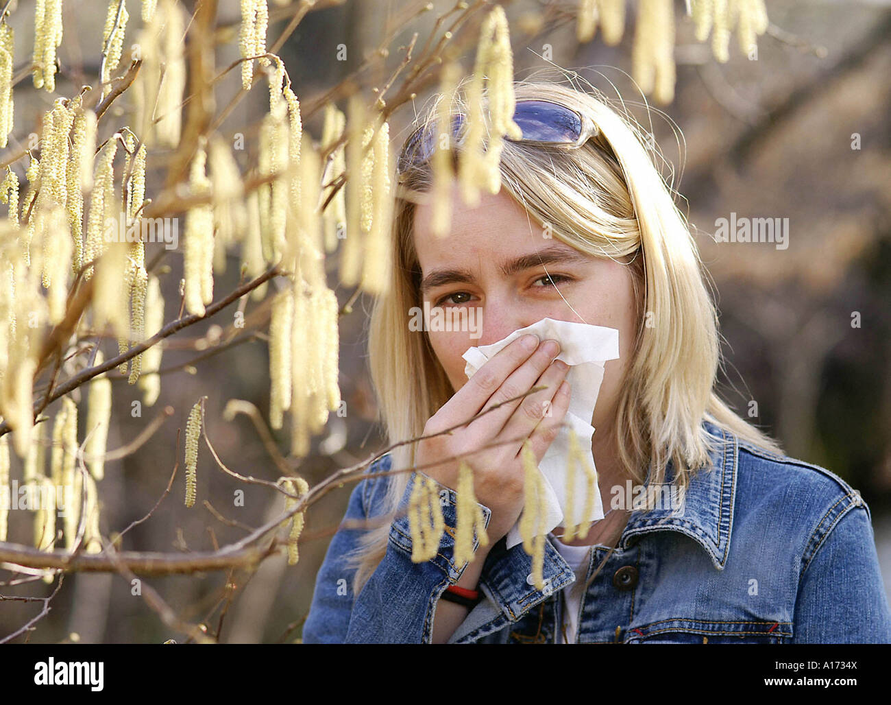 allergy to pollen Stock Photo - Alamy
