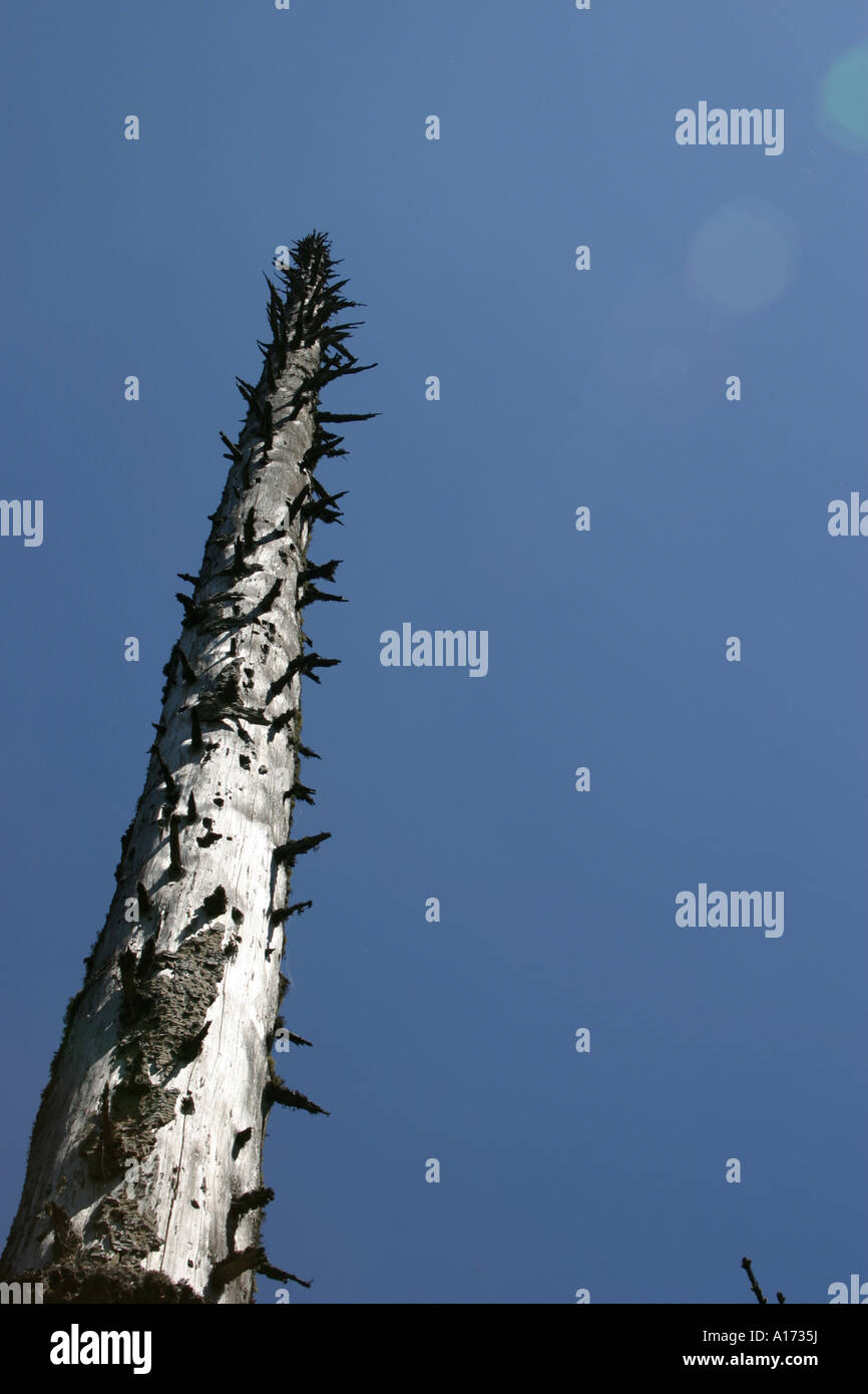 Infelicities hi-res stock photography and images - Alamy