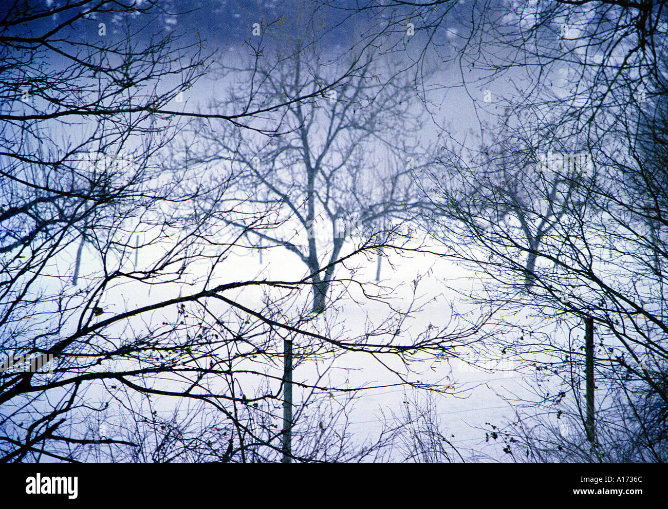 Anton Art Photos Stock Photo - Alamy