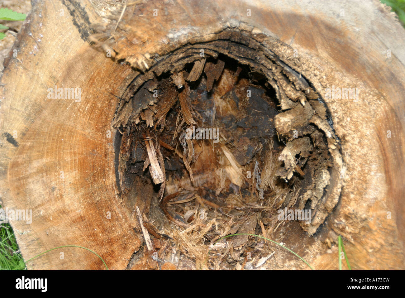 Agricultural pollutions hi-res stock photography and images - Alamy