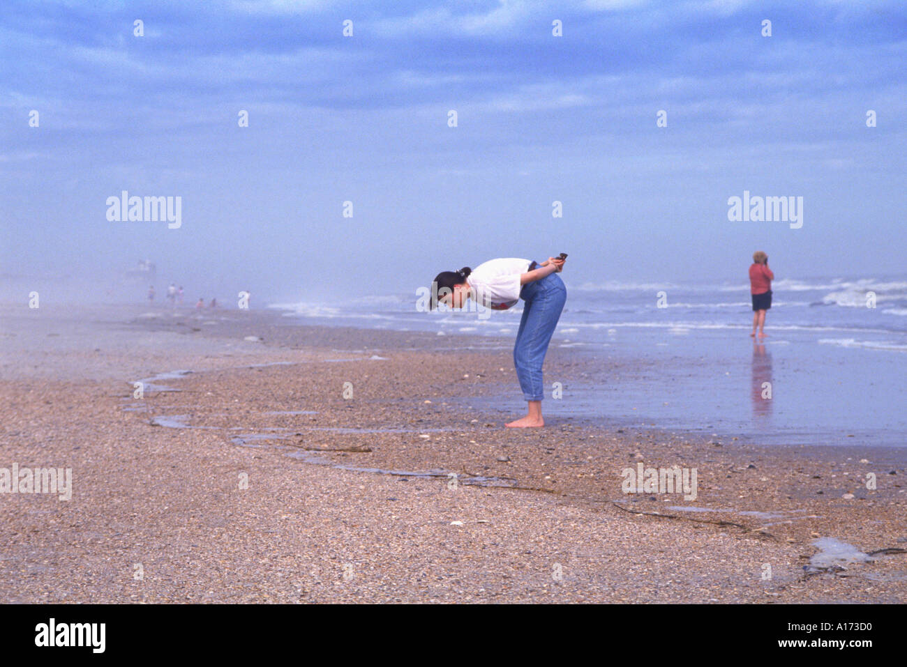 Shell hunting on the beach Jacksonville Florida Stock Photo - Alamy