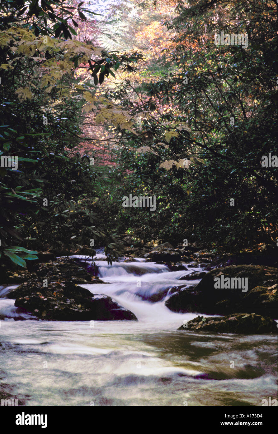 Gurgling pure clean mountain water hi-res stock photography and images ...