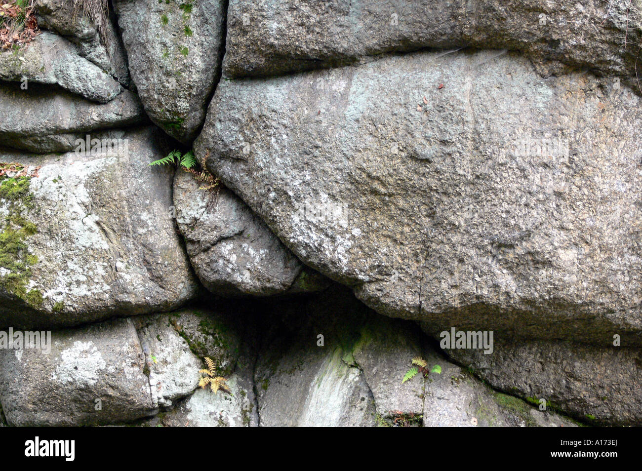 Erratic movements hi-res stock photography and images - Alamy