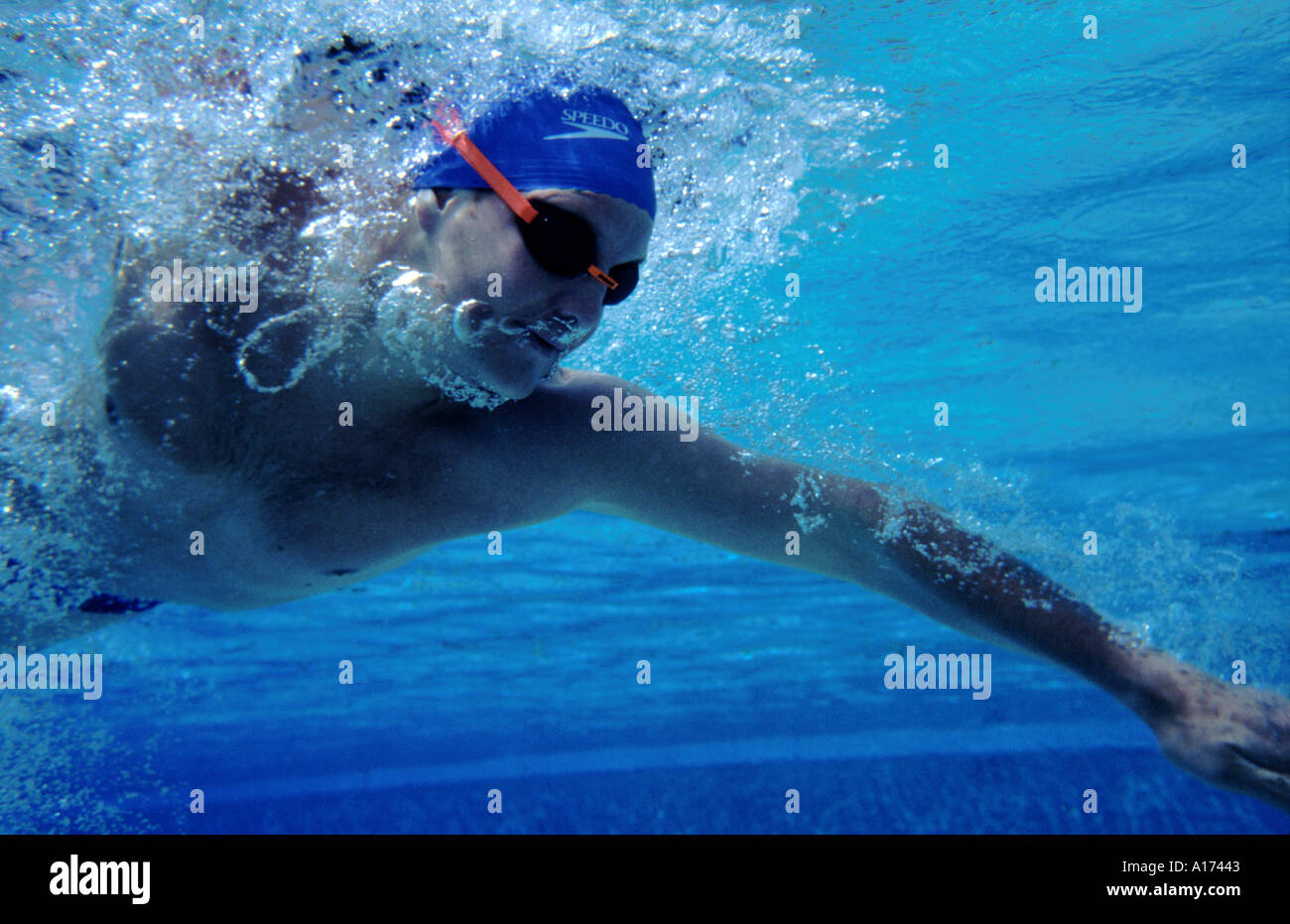 Speedo swim hi-res stock photography and images - Alamy