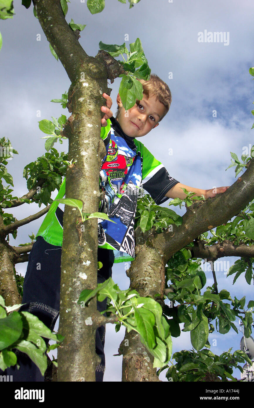 boy climbing a tree Stock Photo - Alamy