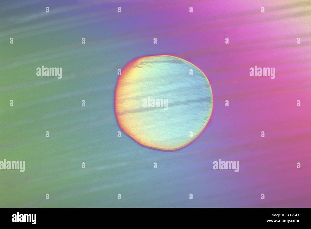 Vert rond hi-res stock photography and images - Alamy