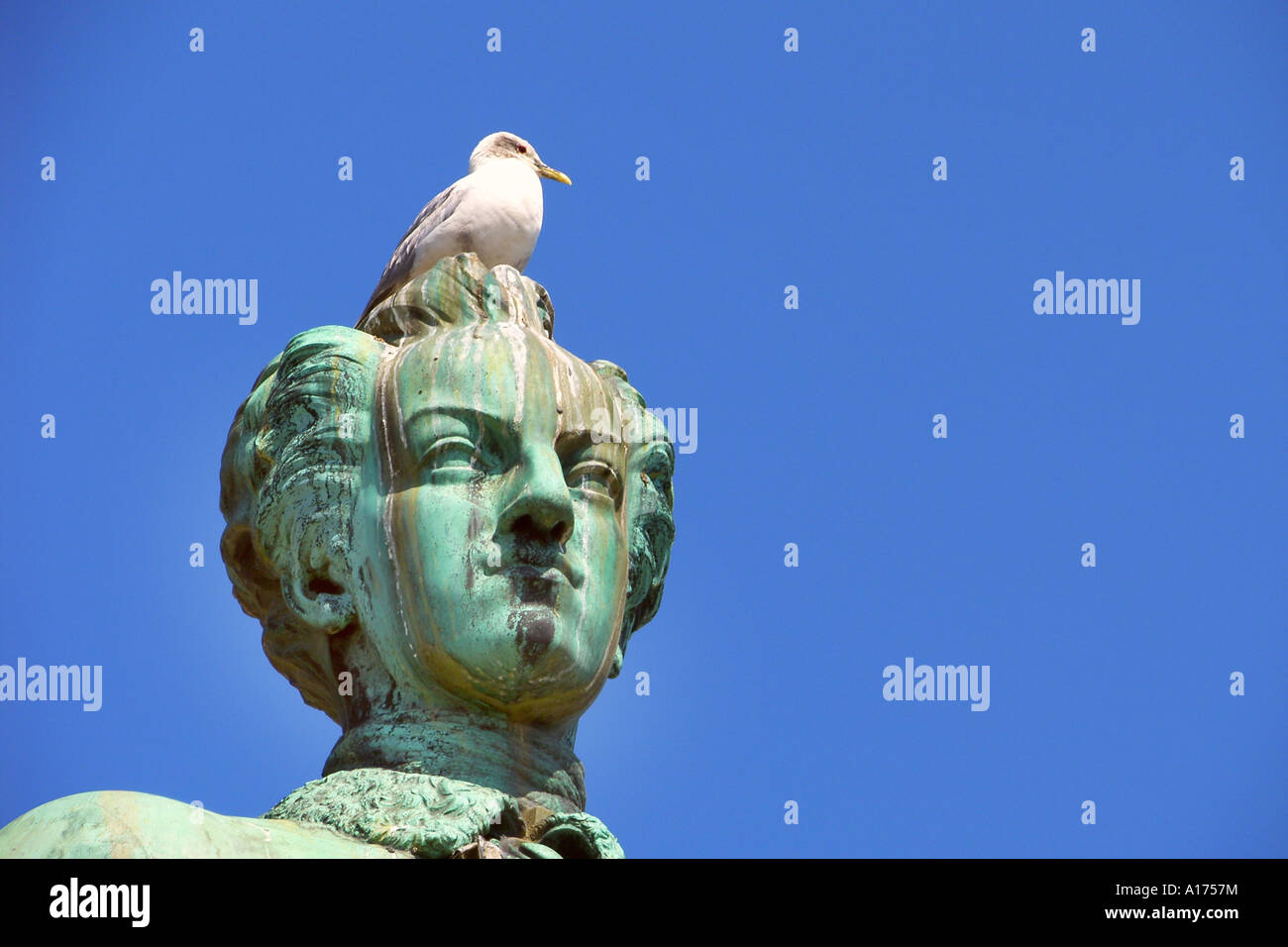 Karl xii statue hi-res stock photography and images - Alamy