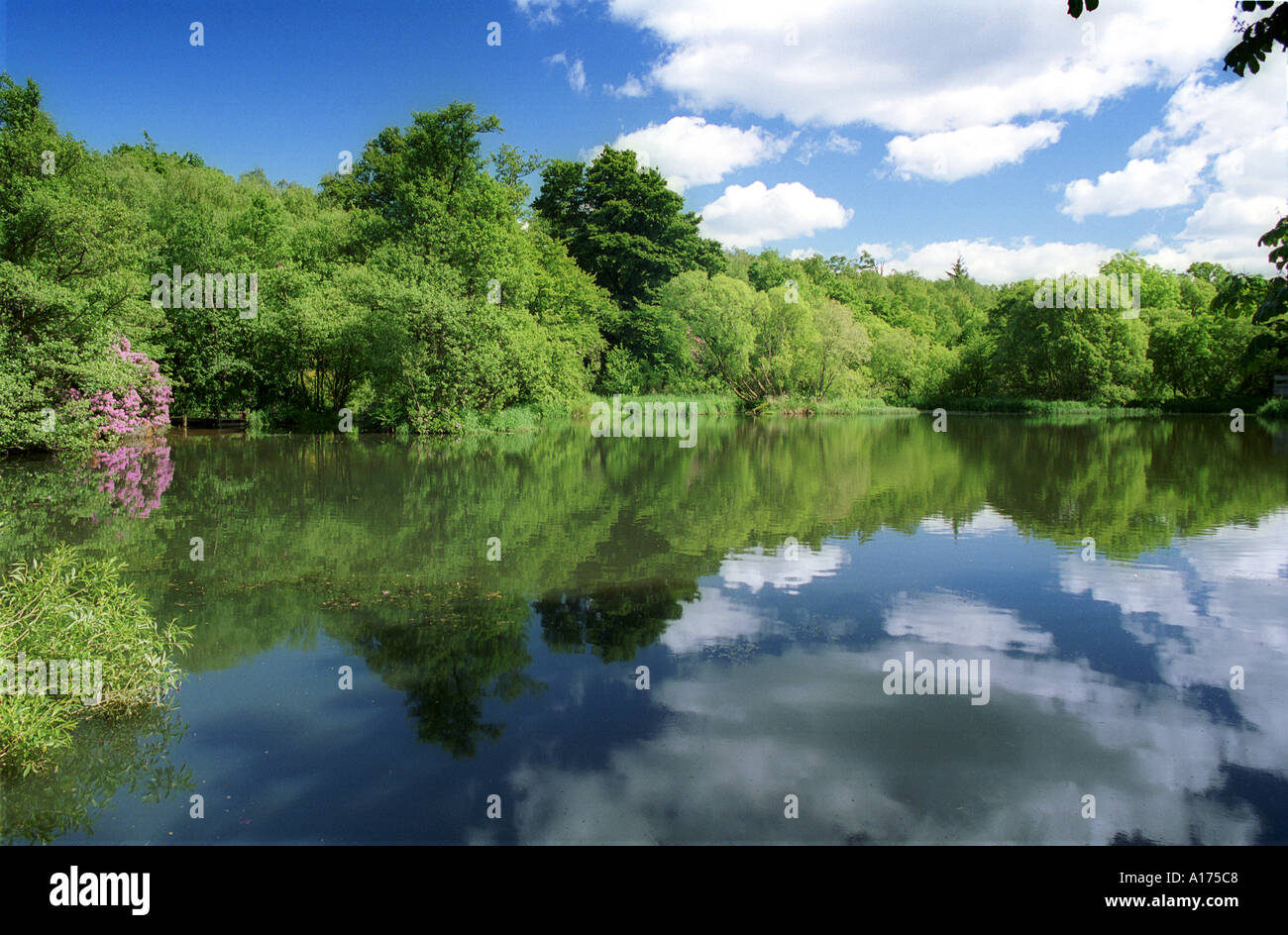 Finlaystone Country Park Scotland Stock Photo - Alamy