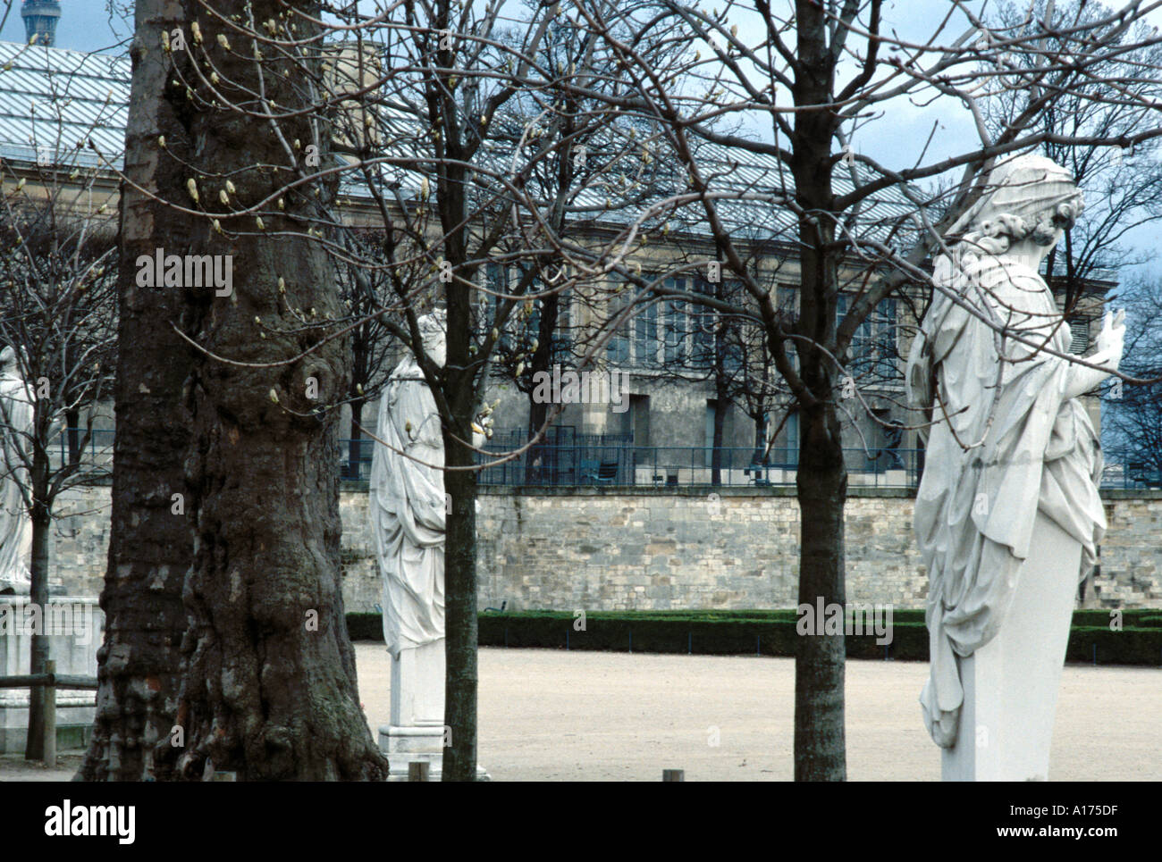 Hiding among trees hi-res stock photography and images - Alamy