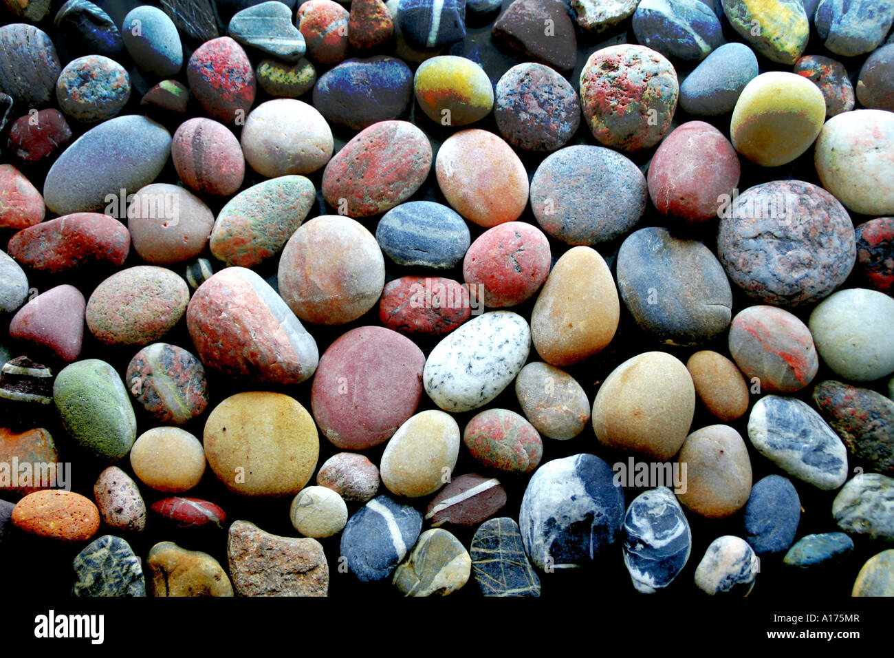 coloured pebble stones Stock Photo - Alamy