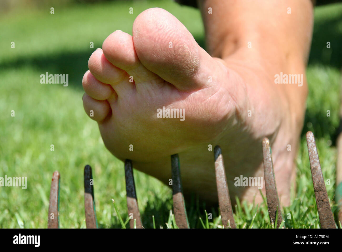 danger of accident in the garden Stock Photo - Alamy