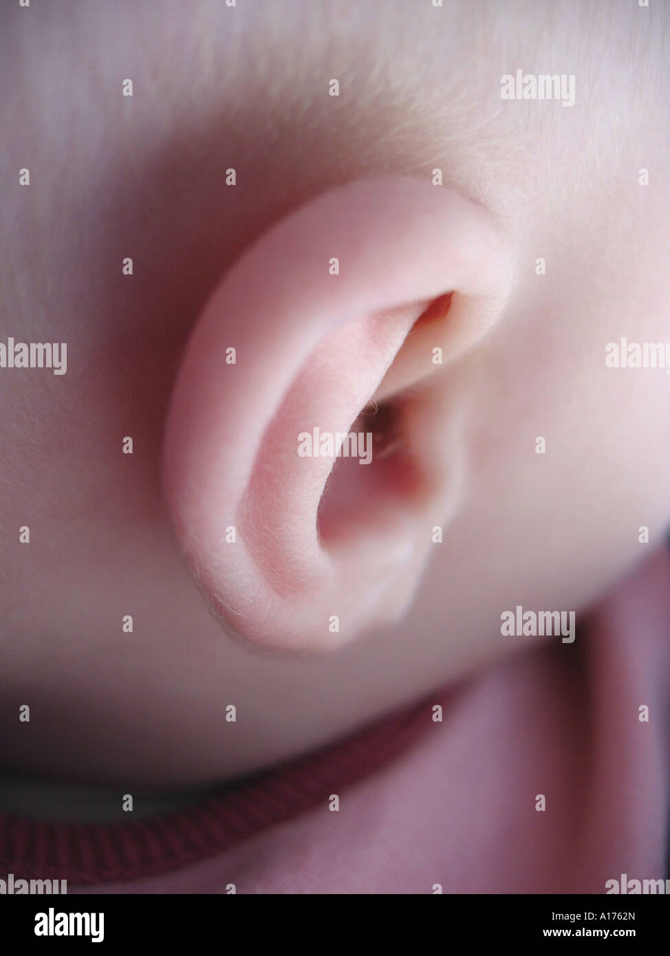 ear of a babe Stock Photo - Alamy