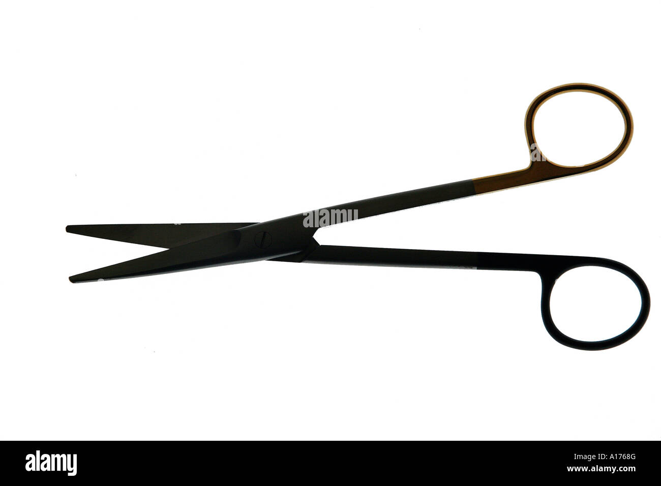 Fashion associated Cut Out Stock Images & Pictures - Alamy