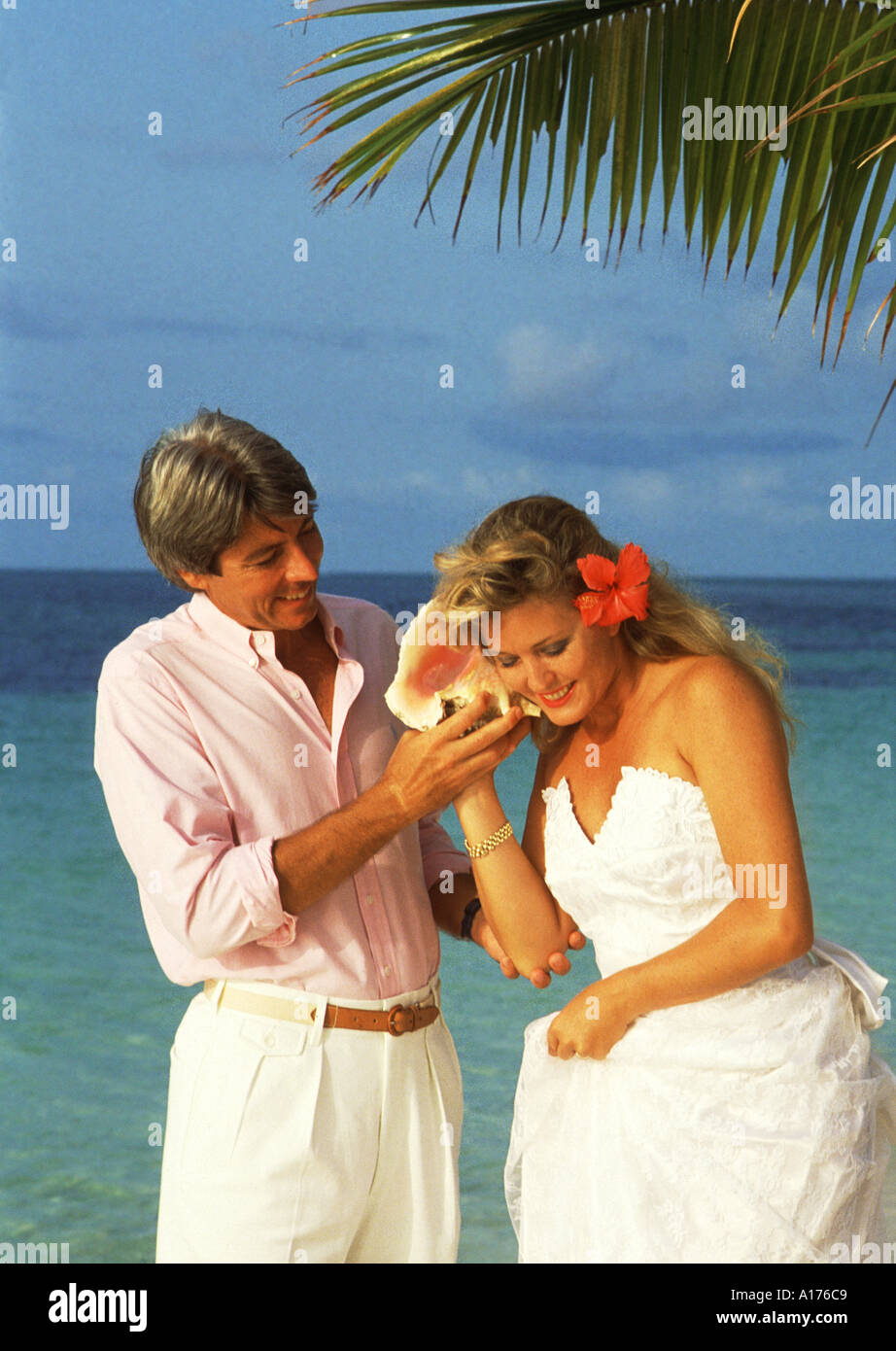 Middle Shell High Resolution Stock Photography and Images - Alamy