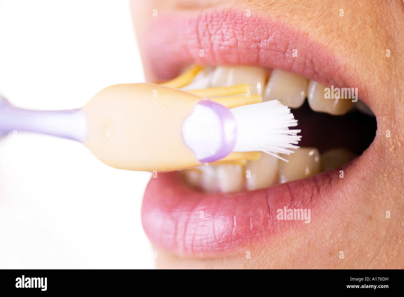 brush the teeth Stock Photo - Alamy