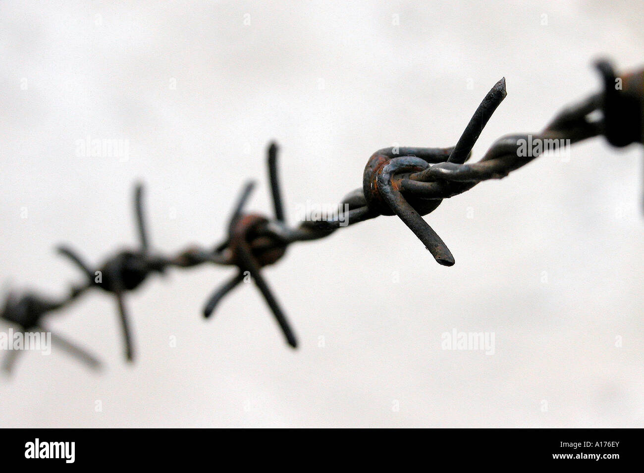 Barbed wire enclosures hi-res stock photography and images - Alamy
