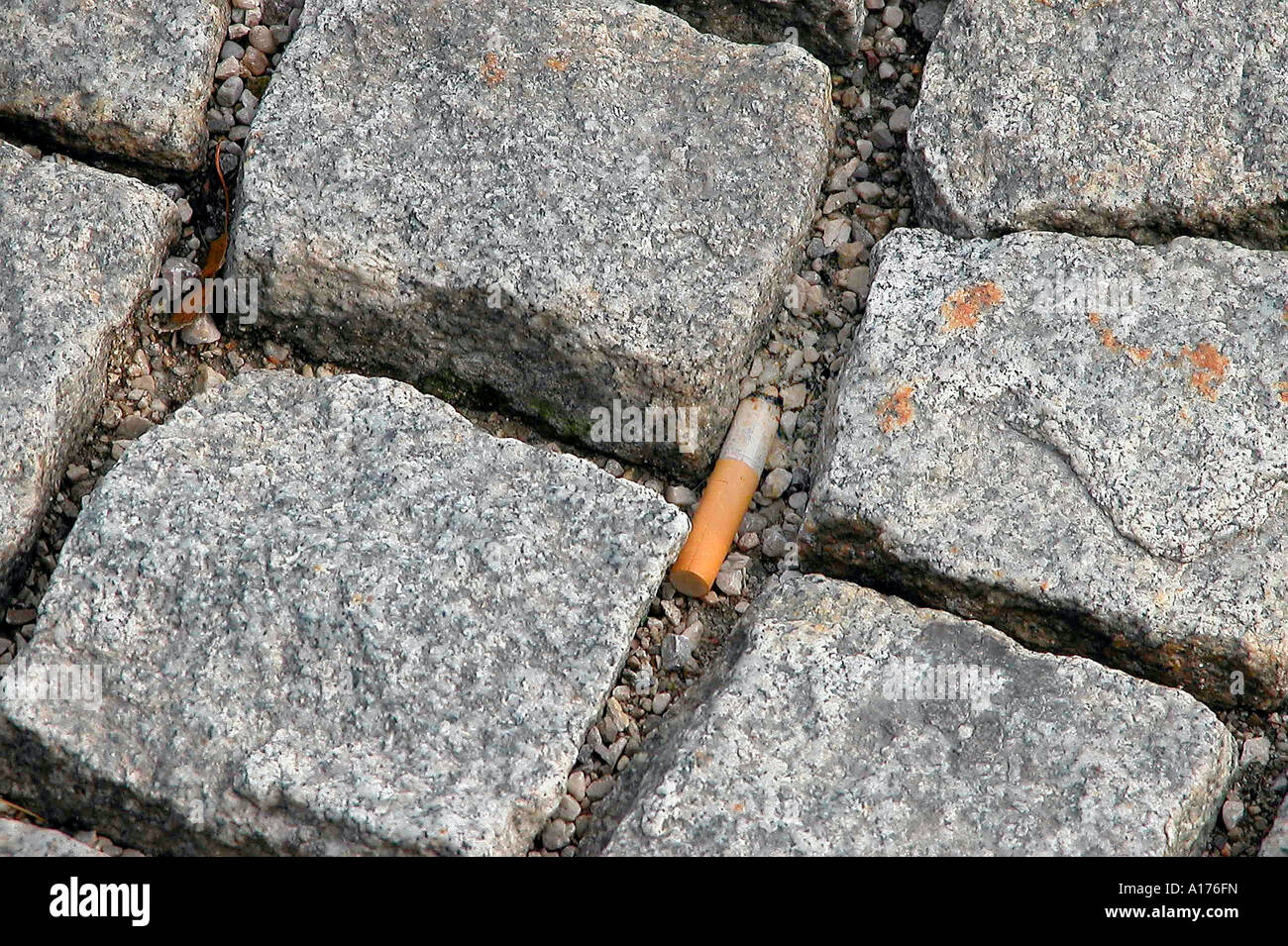 Pavement with cigarette stub Stock Photo - Alamy