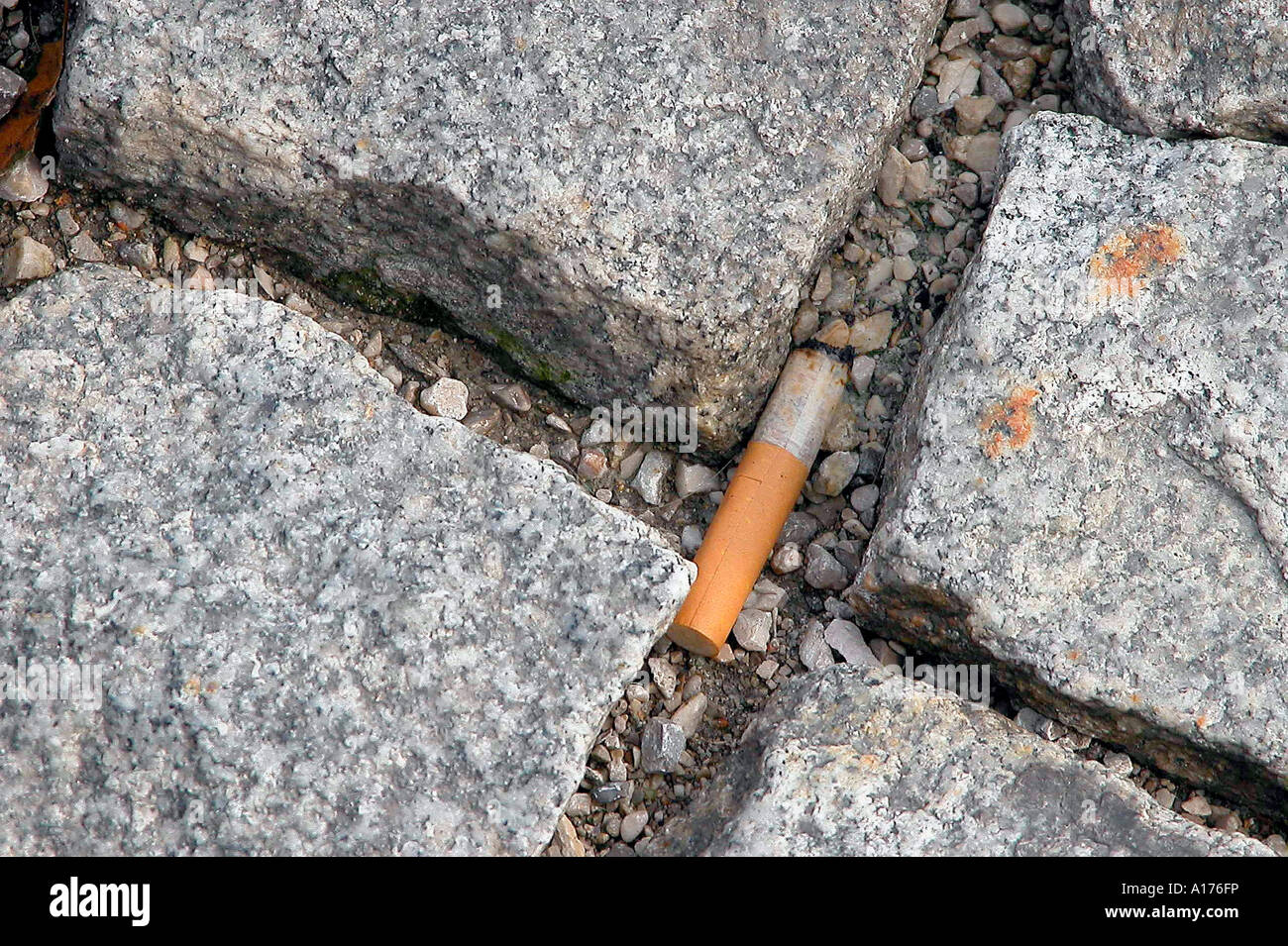 Pavement with cigarette stub Stock Photo - Alamy