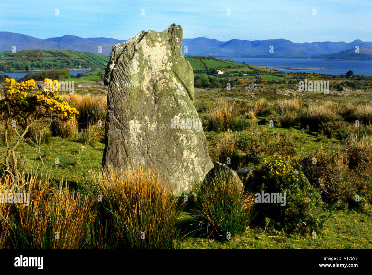 Irish fairies not leprechaun hi-res stock photography and images - Alamy