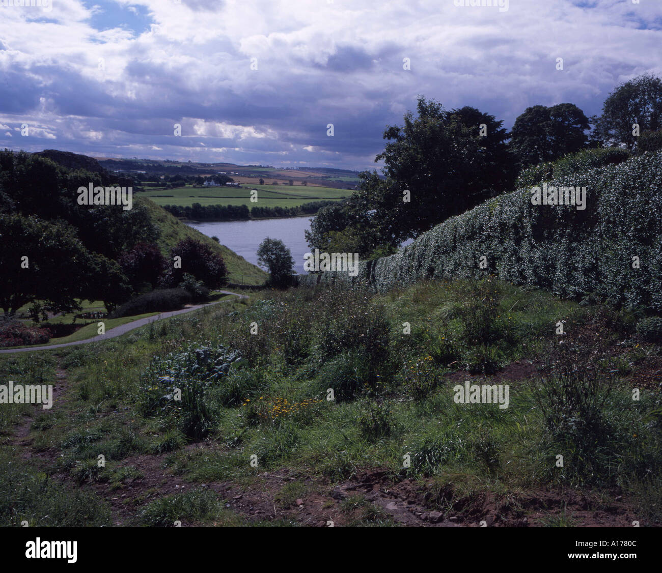 Summer landscape Northumbria UK Stock Photo - Alamy