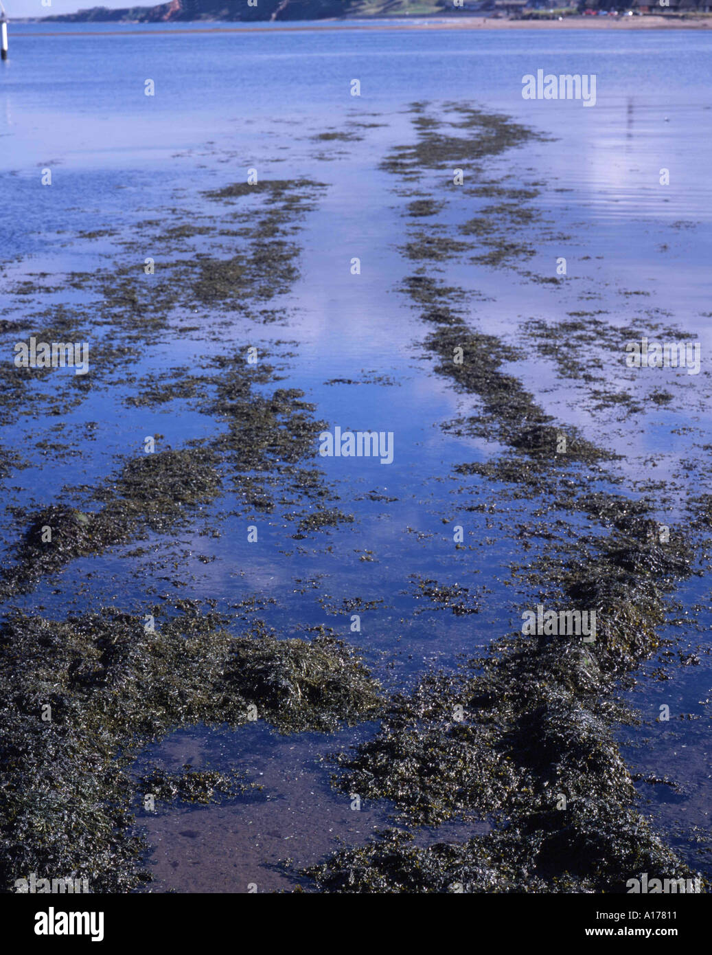 Cut off by incoming tide hi-res stock photography and images - Alamy