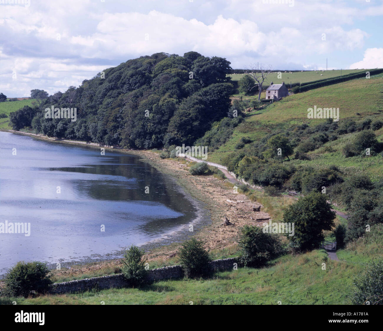 Tweed england countryside hi-res stock photography and images - Alamy